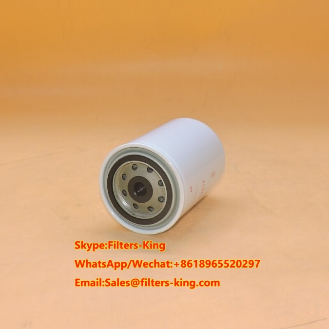 Kühlmittelfilter P554685 B5134 WF2077 RE11992 3827423,Filter ...